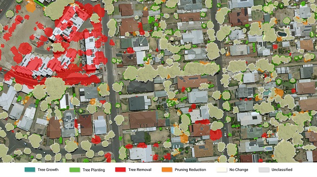 How to measure tree canopy coverage - Spatial Source
