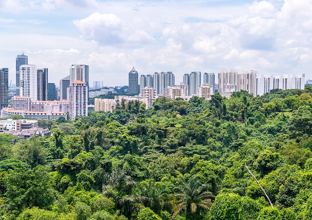 Geospatial tech for Singapore forest carbon count - Spatial Source