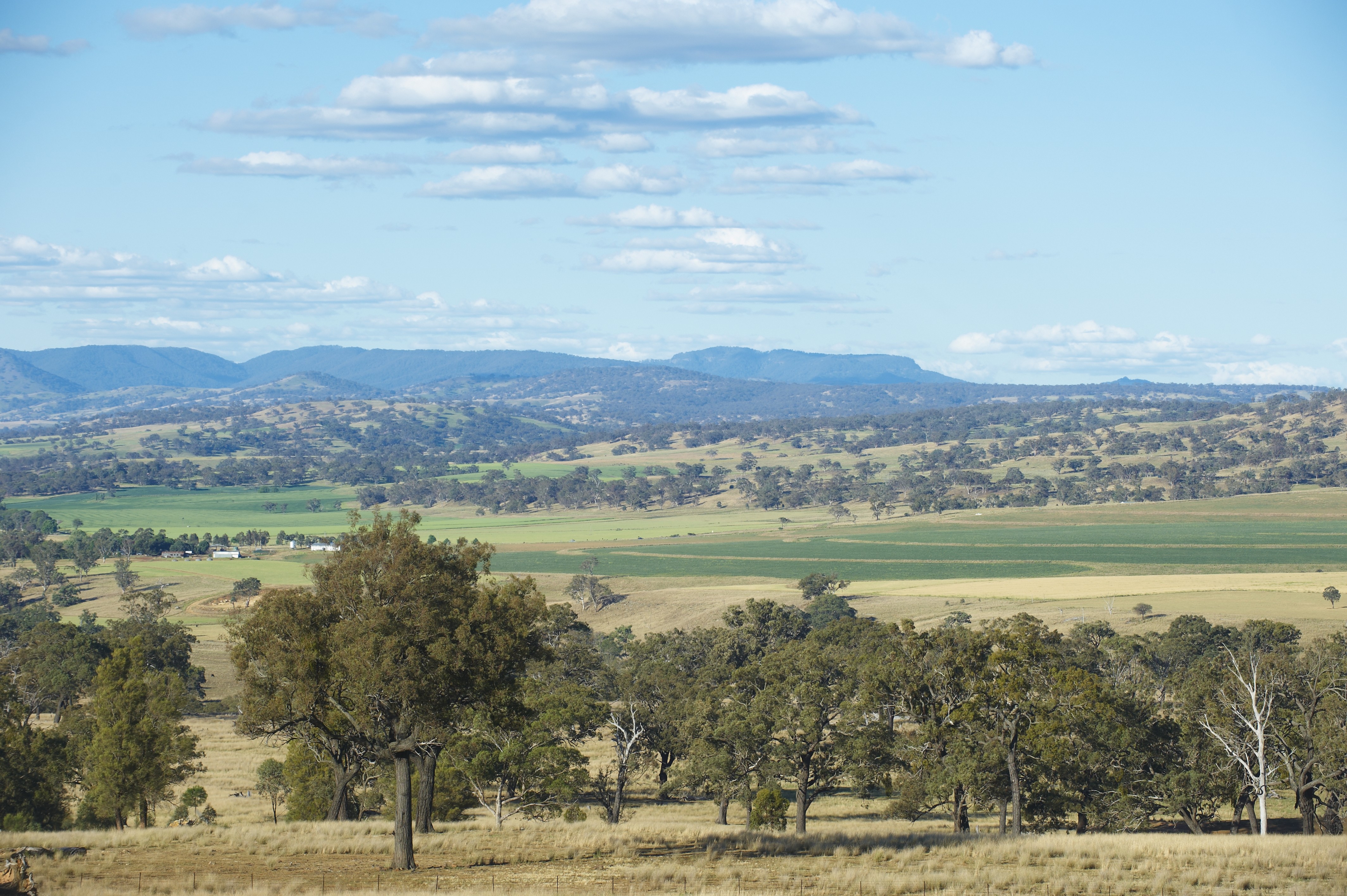 Mapping vegetation for managing the land - Spatial Source